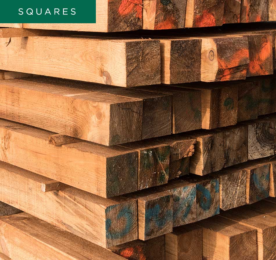 EXPORT - B2B Teak Brazil